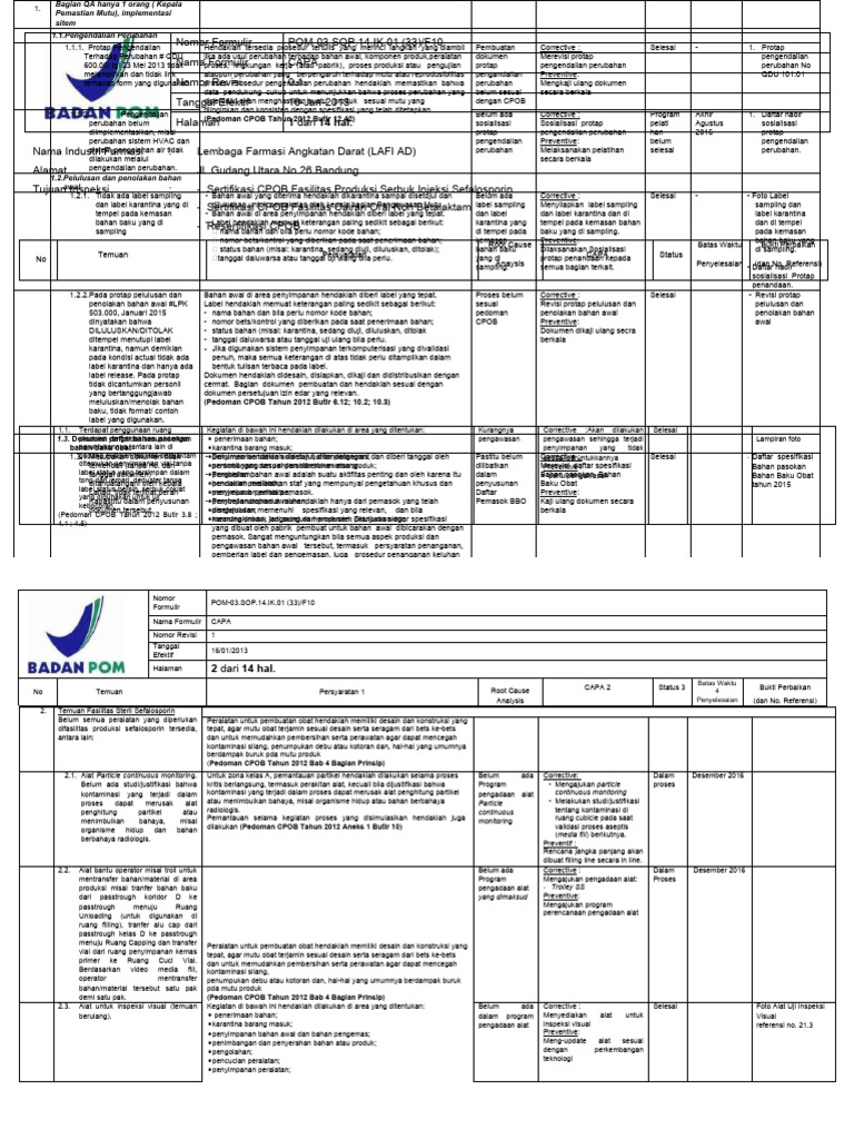 Contoh Pengisian CAPA Audit - 10 | PDF
