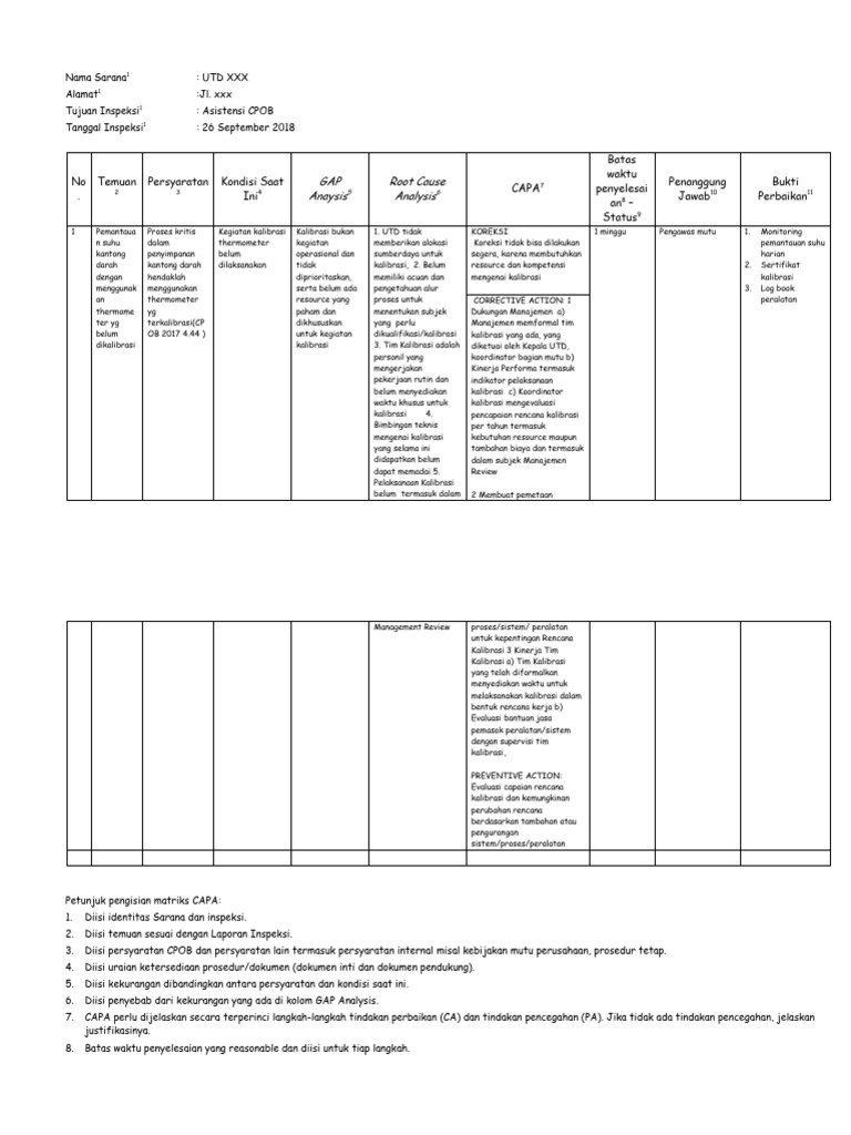 Contoh Pengisian CAPA Audit - 9 | PDF