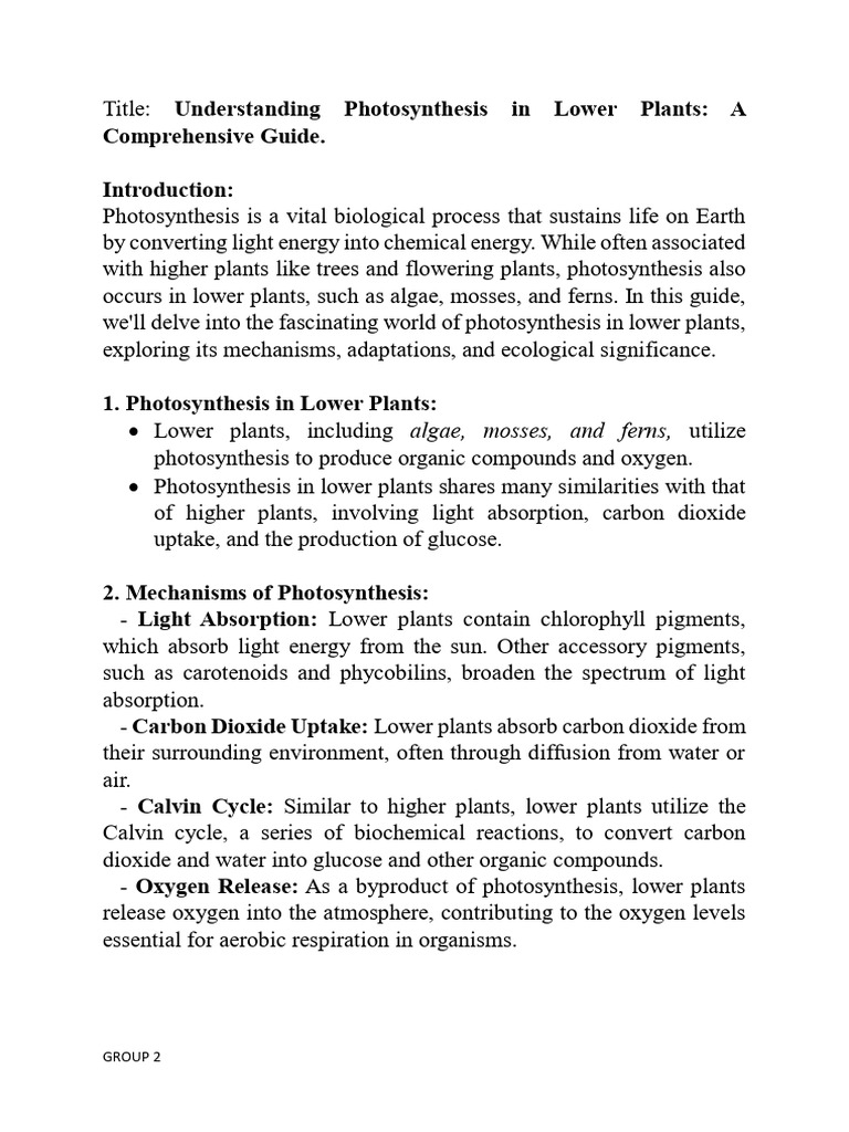 Photosynthesis in Lower Plants Guide | PDF | Photosynthesis | Plants