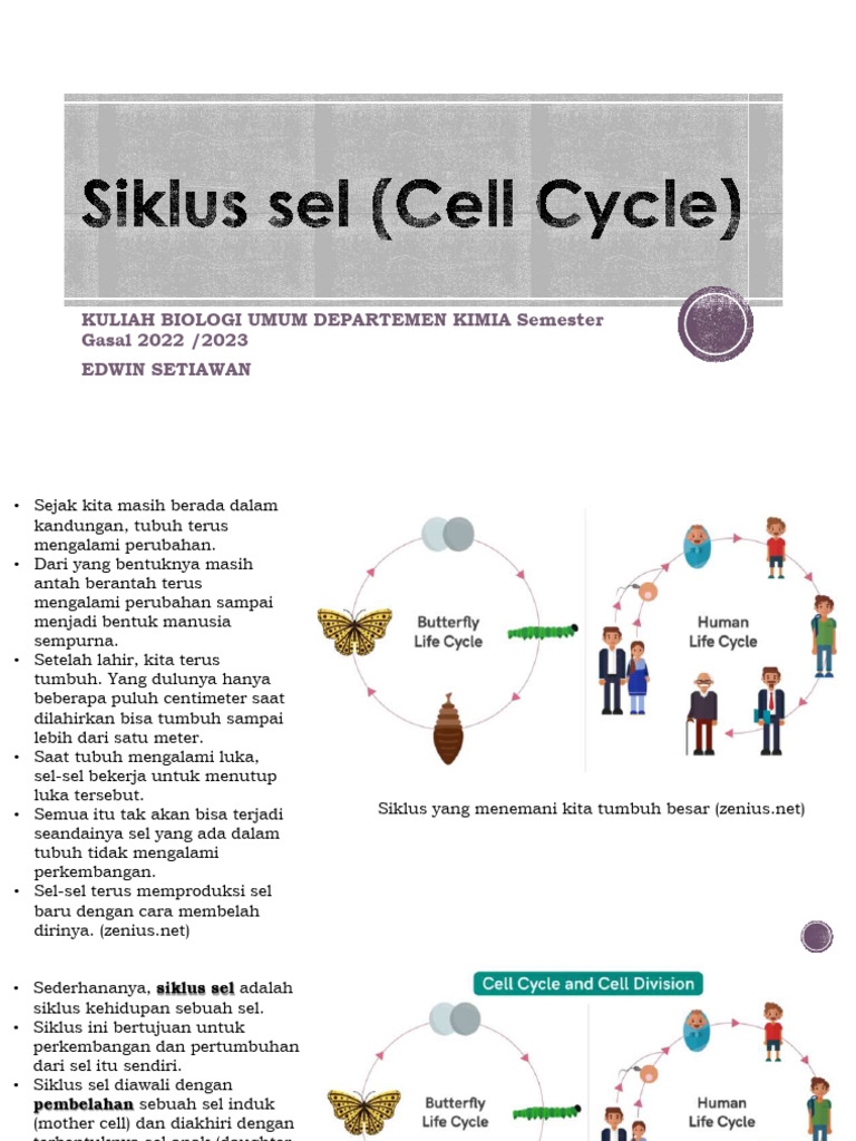 Siklus Sel (Cell Cycle) | PDF