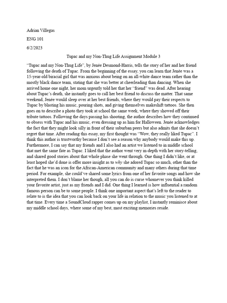 Tupac and My Non-Thug Life Assignment Module 3 | PDF | Art