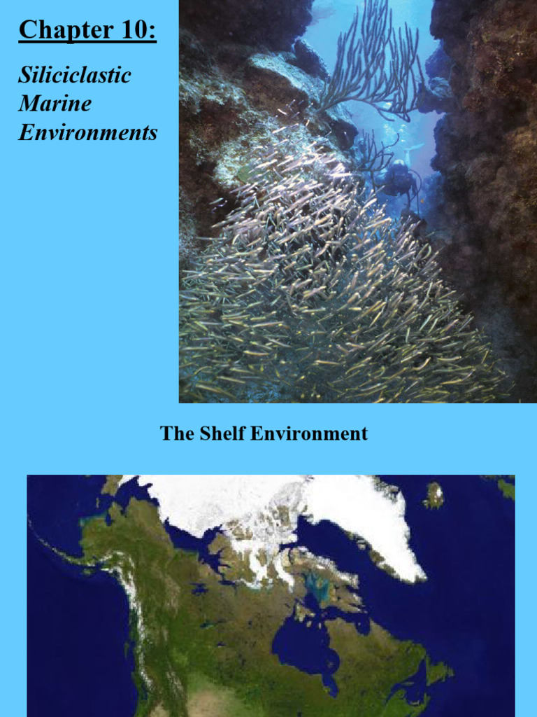 Siliciclastic Marine Environments. The Shelf Environment | PDF | Social ...