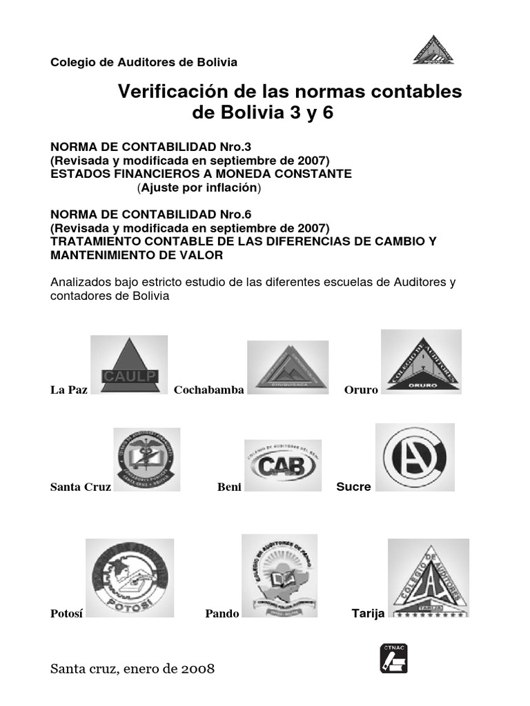 Norma 3 y 6 | PDF | Contabilidad | Auditoría