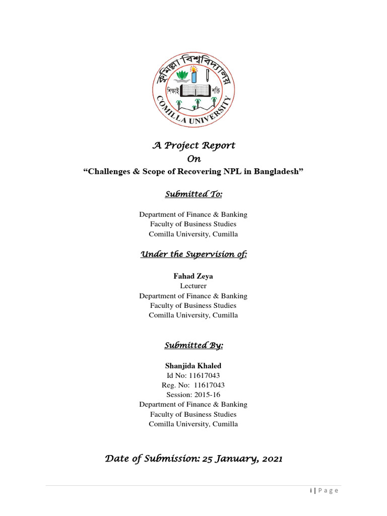 SK BBA Project | PDF | Loans | Interest