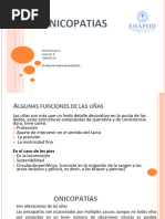 Guía sobre Cromoniquia y Alteraciones Ungueales | PDF | Clavo (anatomía ...