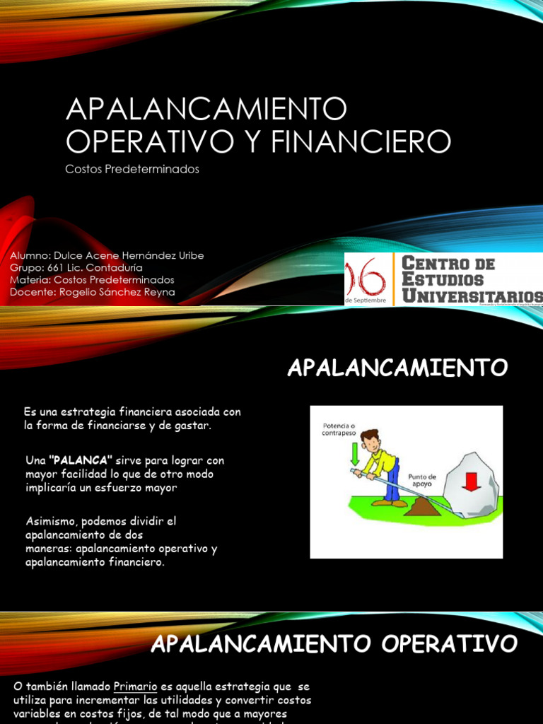 Apalancamiento | PDF | Apalancamiento (Finanzas) | Business