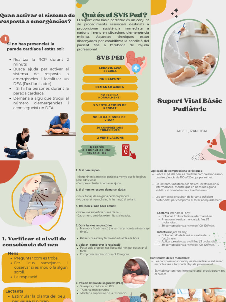Folleto Tríptico SVBP | PDF