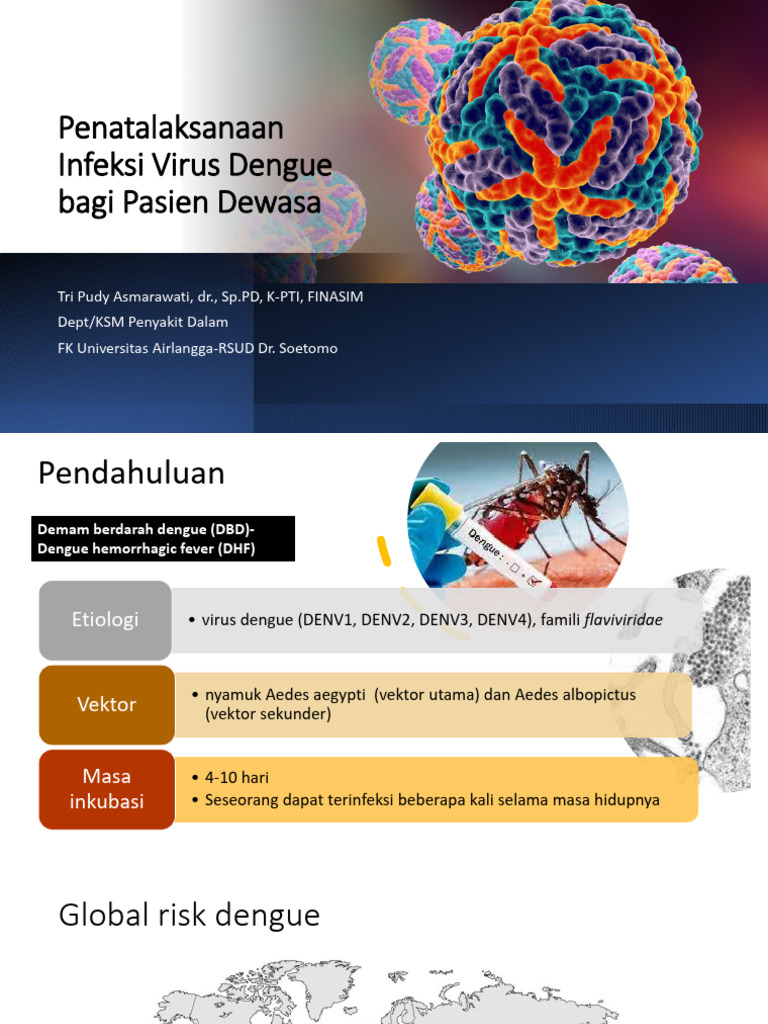 Penatalaksanaan Kasus Infeksi Dengue Bagi Pasien Dewasa 2023 | PDF