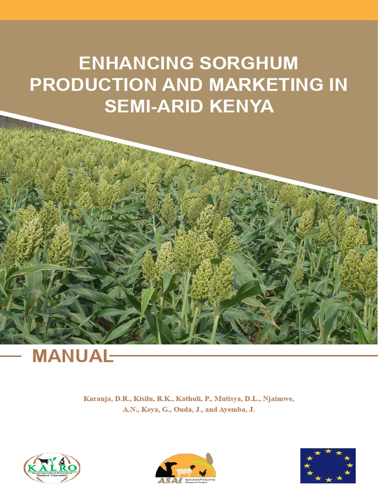 Enhancing Sorghum Production and Marketing | PDF | Fertilizer | Soil