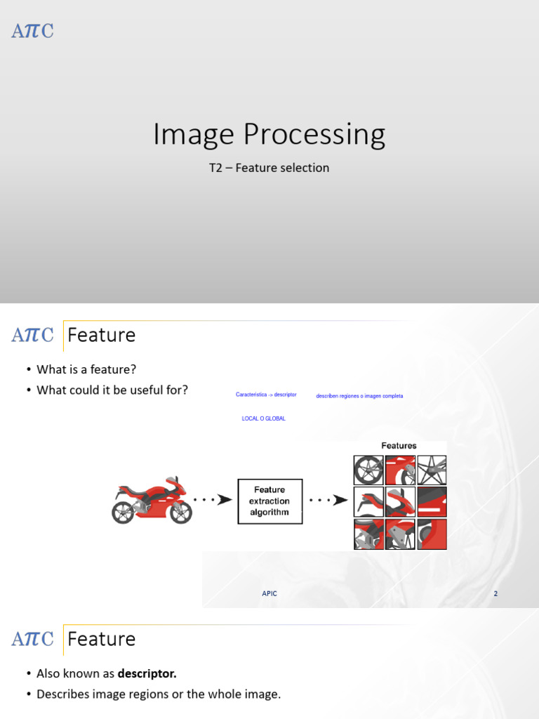 APIC Lecture2-3 Feature Selection | PDF
