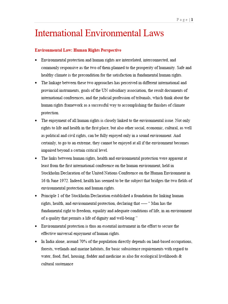 International Environmental Laws Overview | PDF | Sustainability ...