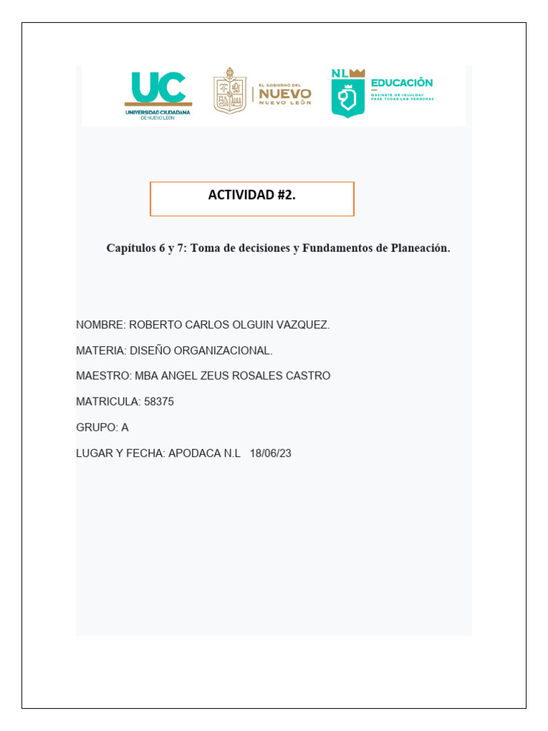 Actividad 2 Diseno Organizacional | PDF