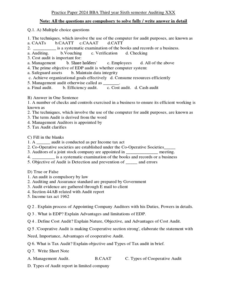 Audit Practice Paper 2024 | PDF