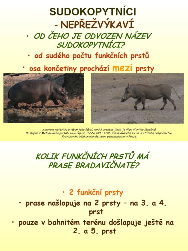 Nepřežvýkaví Sudokopytníci Africké Savany | PDF