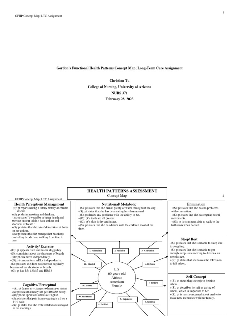 Gordon's Functional Health Patterns Concept Map Long-Term Care Assignment | PDF