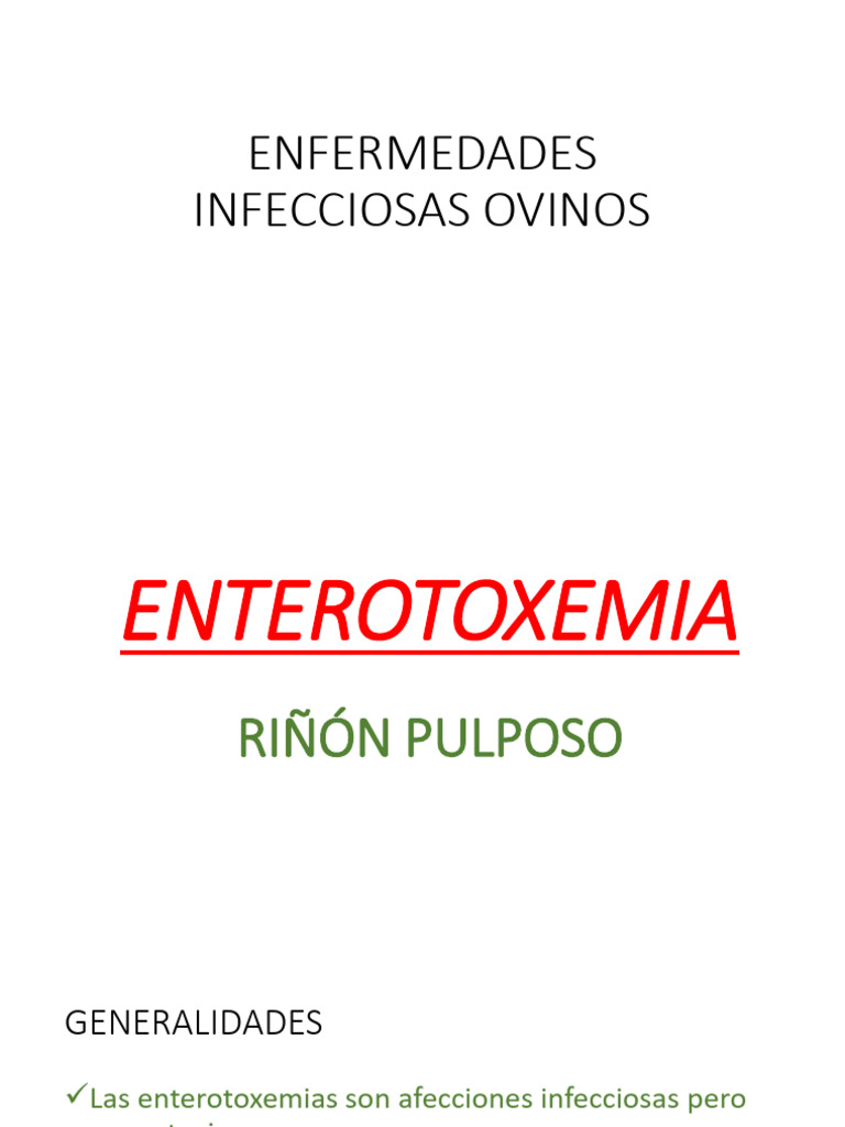 Enterotoxemia en Ovinos | PDF | Oveja | Vacunación