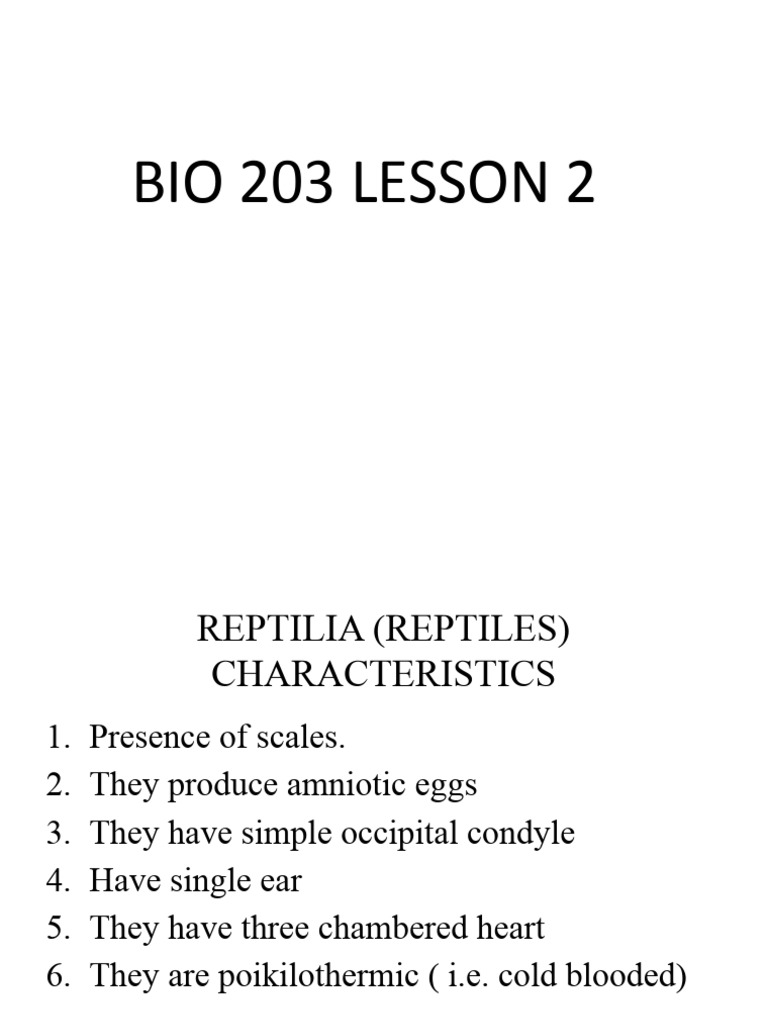 BIO 203 Lesson 3 Reptiles | PDF | Reptile | Squamata BIO 203 Lesson 3 Reptiles | PDF | Reptile | Squamata