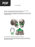 Looksmaxxing e Book PDF | PDF | Hair | Hairstyle