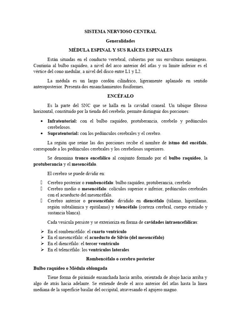 Generalidades SNC | PDF | Cerebelo | Cerebro
