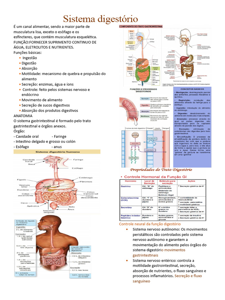 Sistema digestório- Fisiologia humana | PDF | Sistema digestivo humano ...