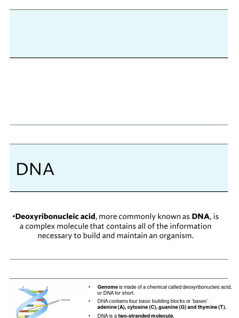 DNA | PDF | Dna | Cell (Biology)