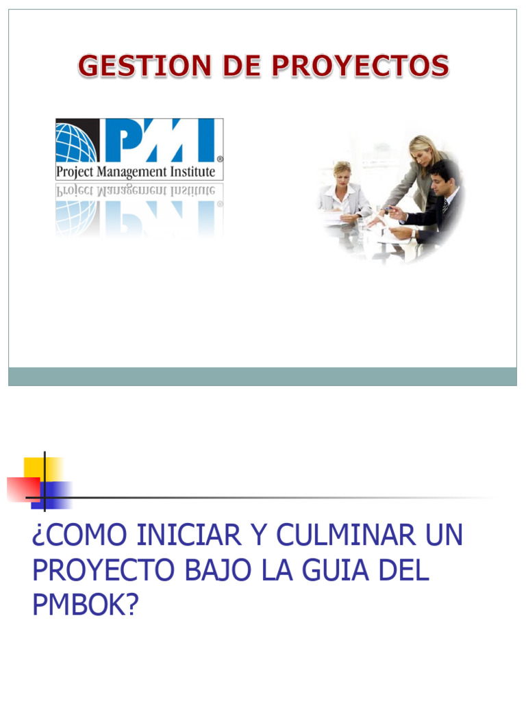 Guía PMBOK: Iniciar y Culminar Proyectos | PDF | Informática