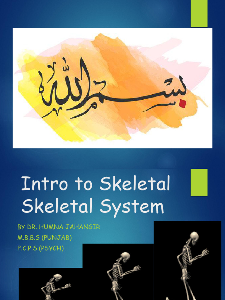 Lecture 1 - Introduction To Bones | PDF