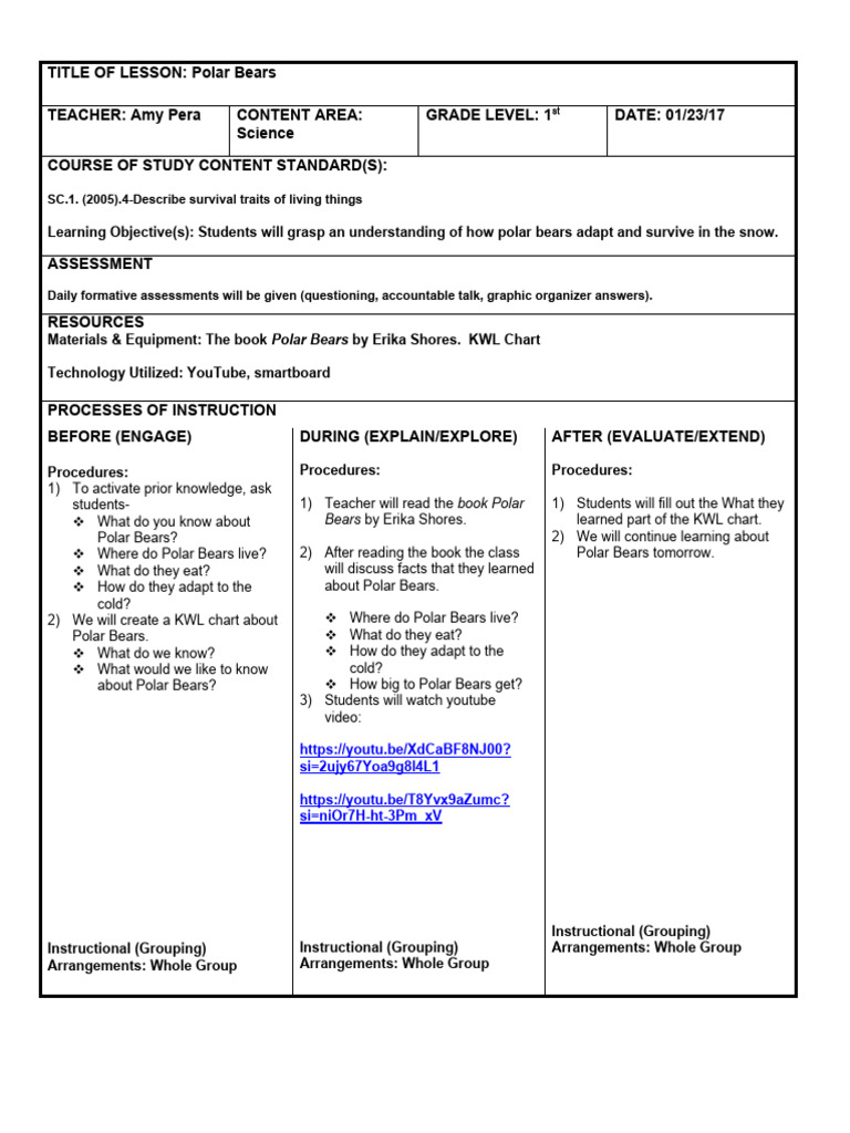 Polar Bears Day 1 | Download Free PDF | Educational Assessment ...