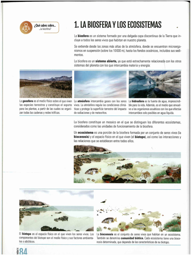 Tema Ecologia 2º Bach | PDF