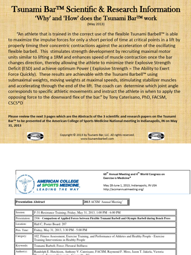 Tsunami Bar Research | PDF