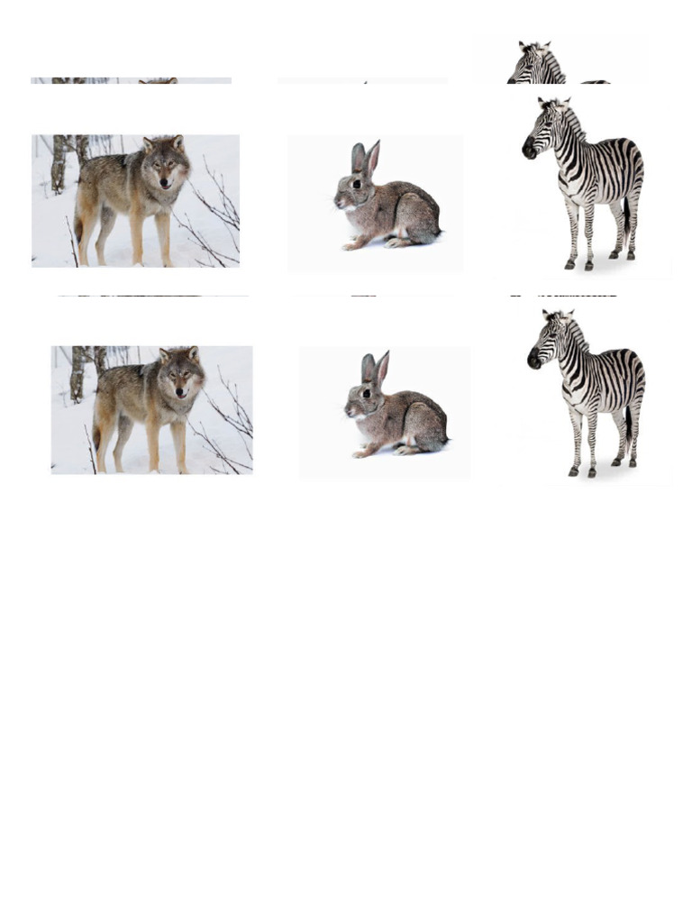 Adjectiv - Animale | PDF