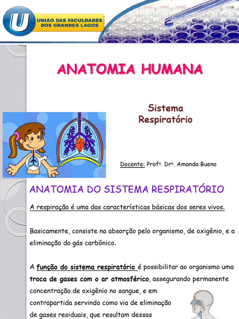 Aula 5 - Sistema Respiratório | PDF
