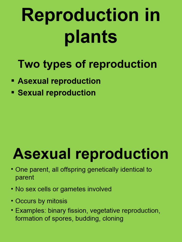Reproduction in Plants | PDF | Reproduction | Flowers