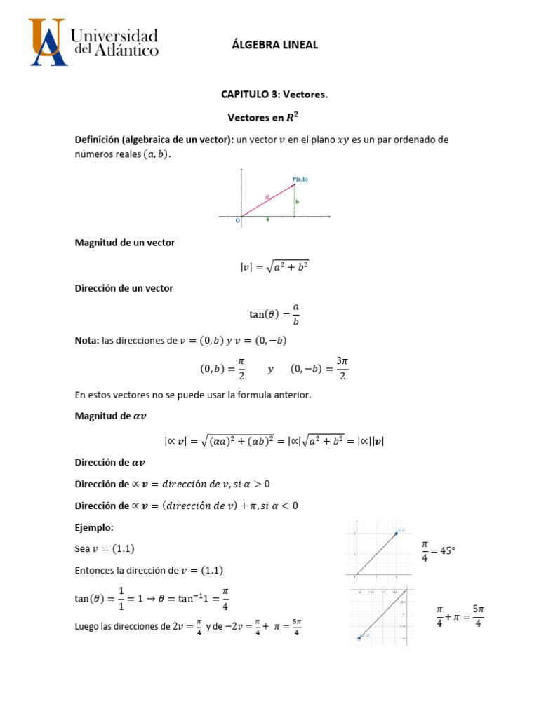 Capítulo III Álgebra Lineal | PDF | Vector Euclidiano | Álgebra