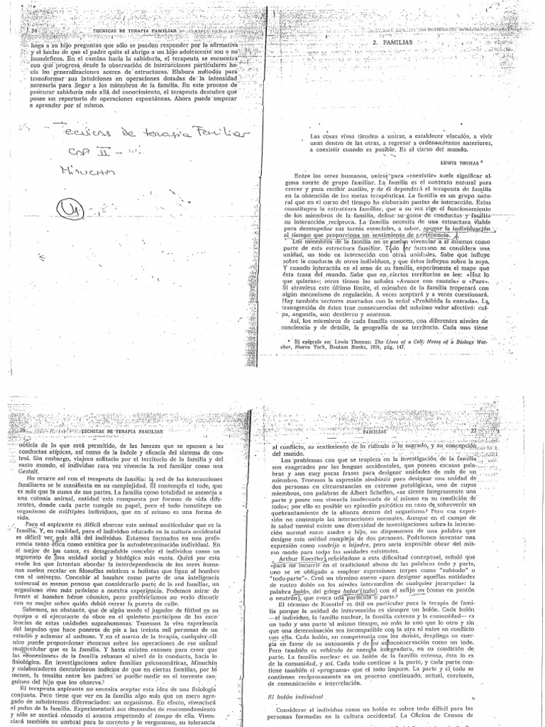 Familias-Minuchin | PDF