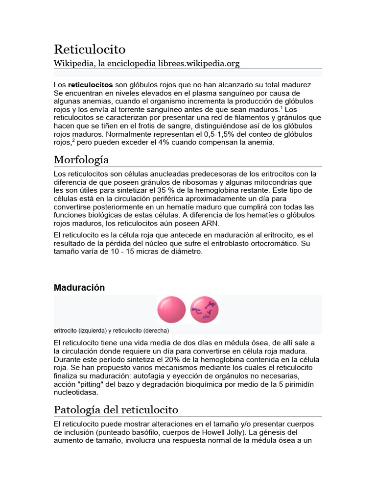 Reticulocitos: Función y Diagnóstico | PDF | Biología Celular | Sangre