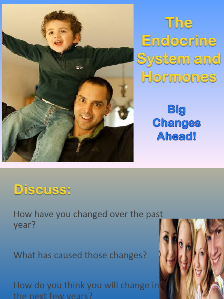 Endocrine System And Hormones 1 Pdf Endocrine System Hormone