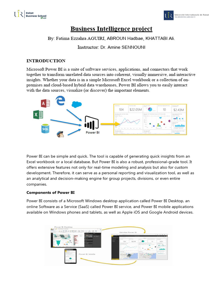 Business Intelligence project | PDF | Application Software | Mobile App