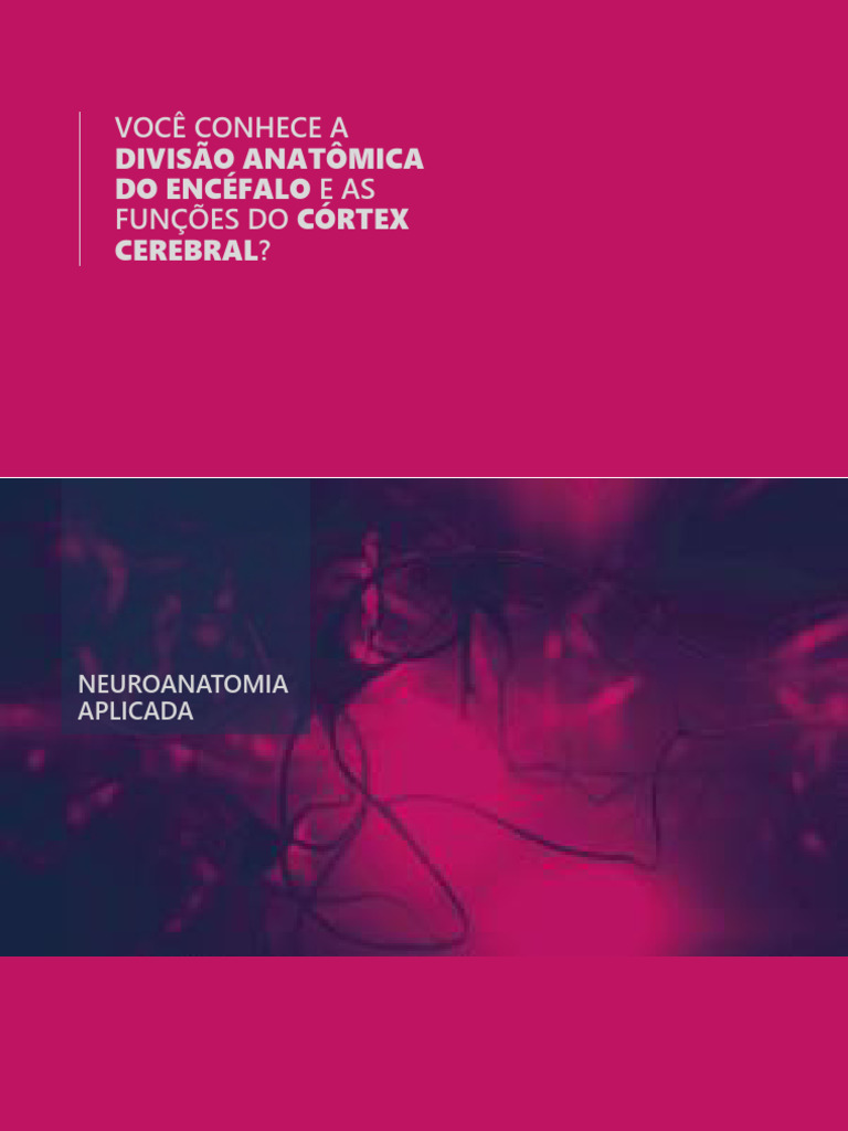 Neuroanatomia Aplicada | PDF