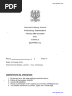 P6 Maths Prelim 2025 ACSJ Exam Papers | PDF