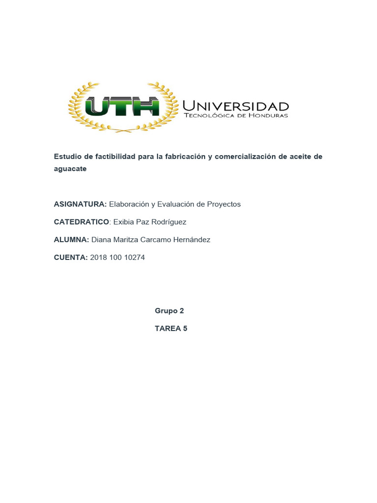 Cuarto Avance Diana Cárcamo | PDF