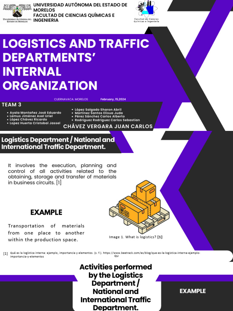 TEAM 3 Logistics and Traffic Departments' Internal Organization-1 | PDF