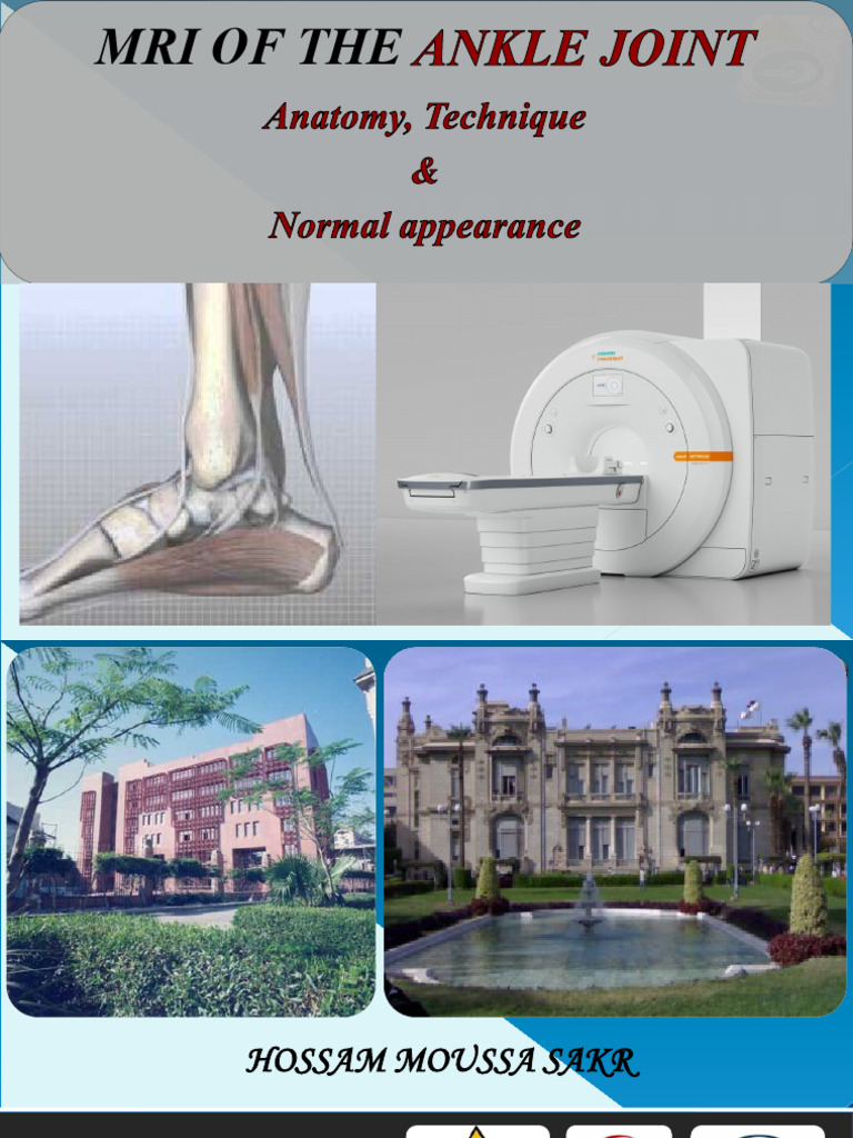 Mri of The Ankle Joint Technique & Normal Appearance | PDF