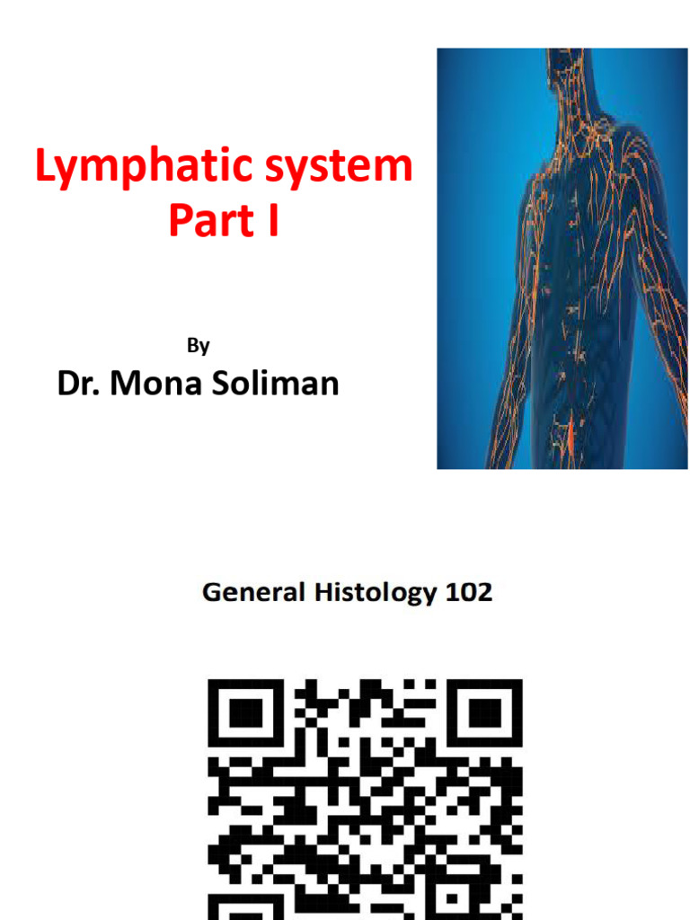 Lymphatic System 1-1 | PDF | Lymph Node | Lymphatic System