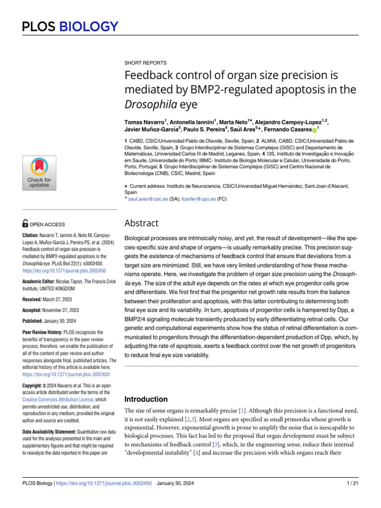 Feedback control of organ size precision is mediated by BMP2-regulated ...