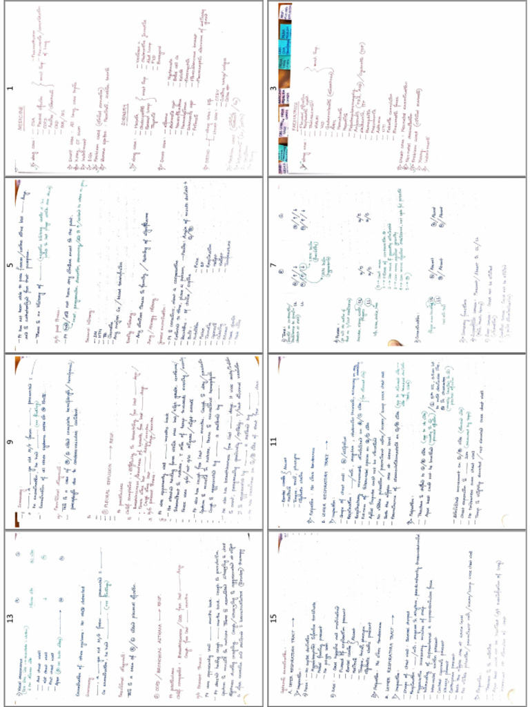 Practical Chota | PDF