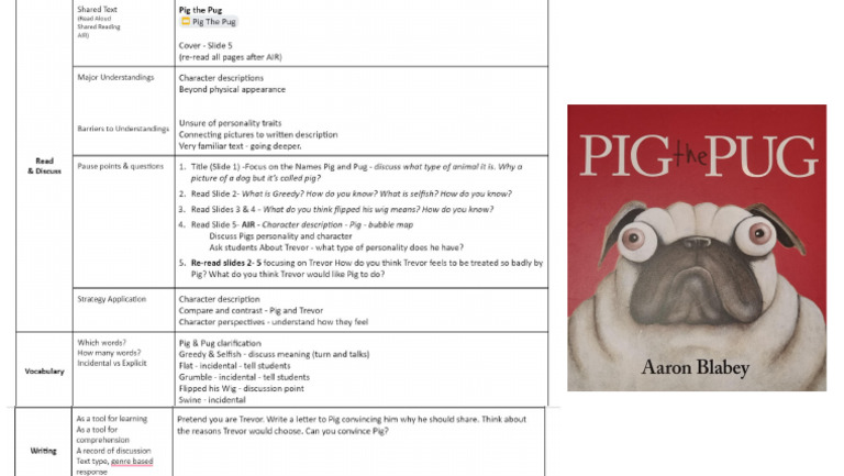 Pig The Pug Lesson Plan | PDF