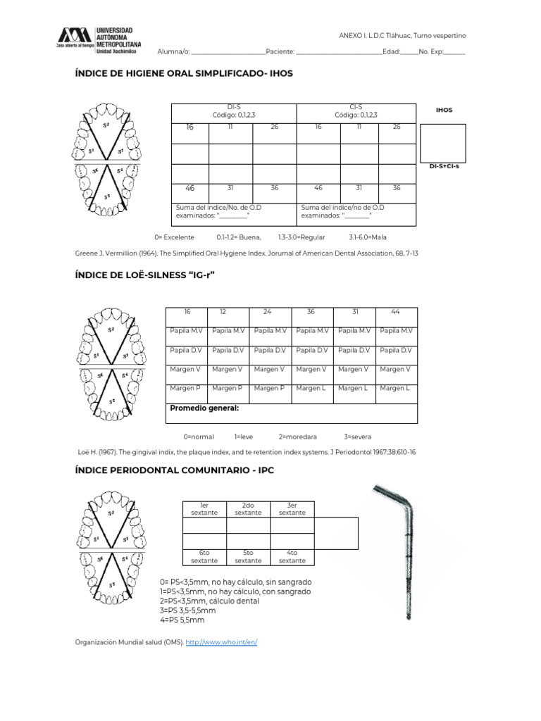 Formato de Indices IHOS, IG, IPC | PDF
