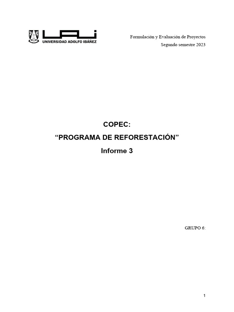 Informe 3 FEP | PDF
