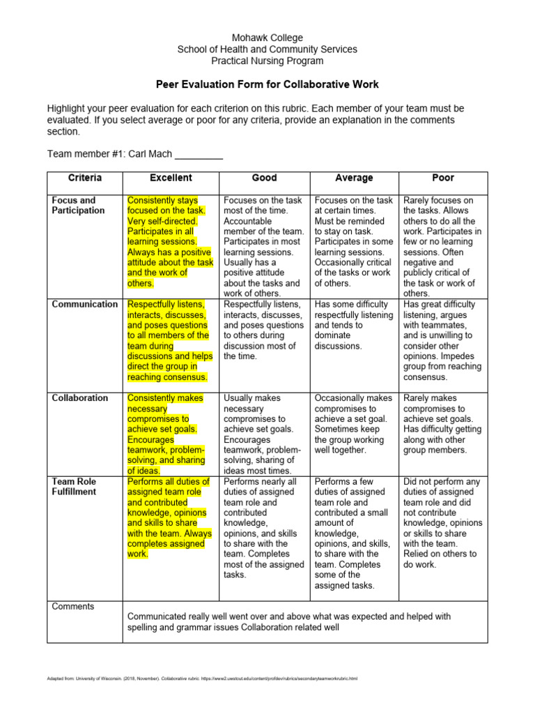 Peer Evaluation HS W21-1 | Download Free PDF | Knowledge | Rubric ...